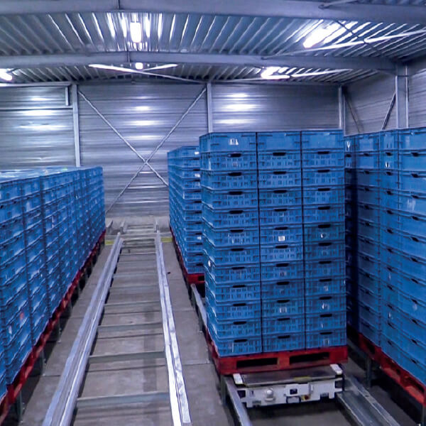 Automatic storage solution for Go Patat - Viscon Group