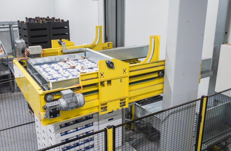 Post-harvest, packing & storage systems - Fruit & Vegetables - Viscon Group