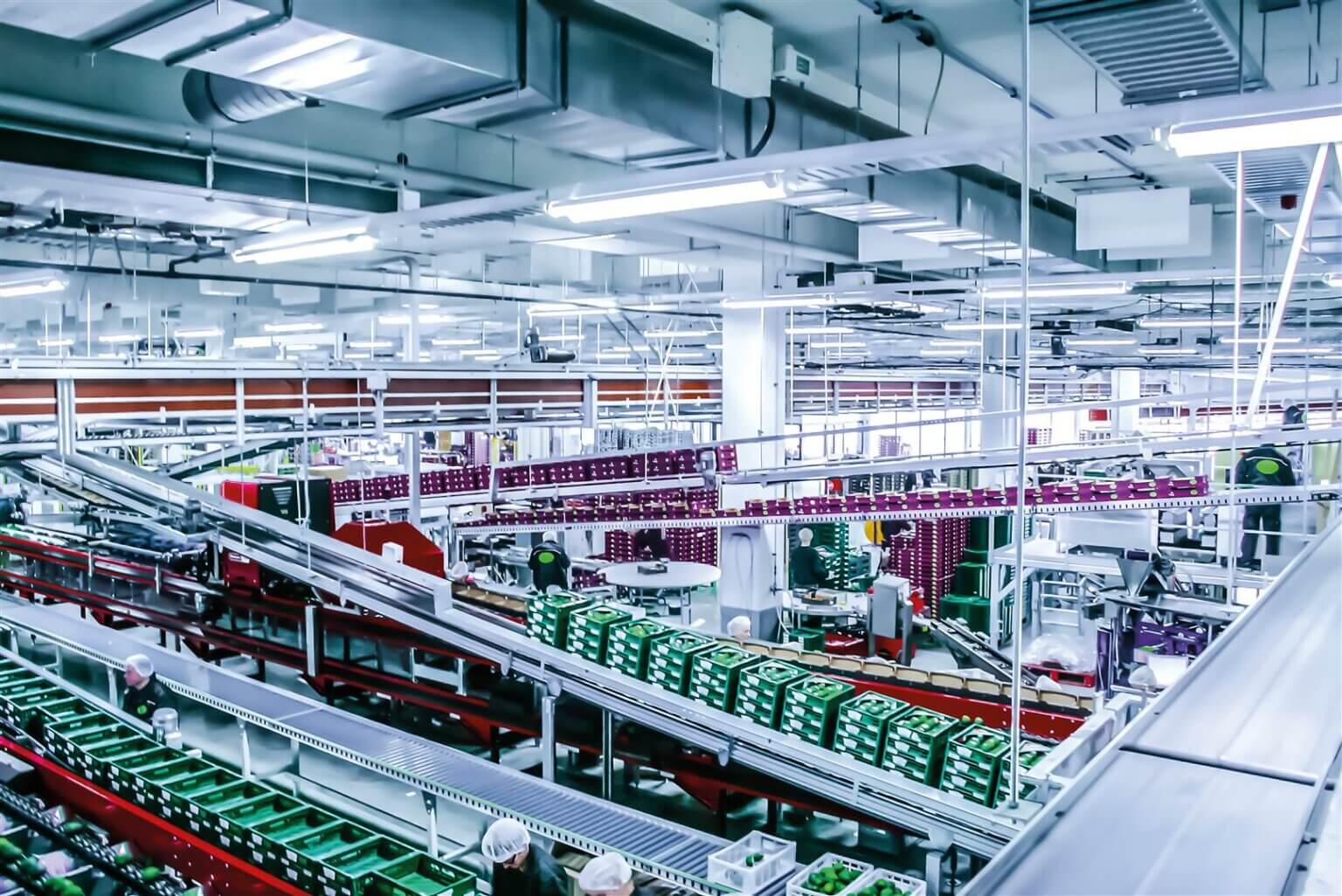 Post-harvest, packing & storage systems - Fruit & Vegetables - Viscon Group