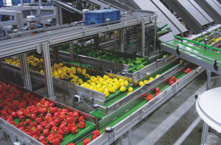 Post-harvest, packing & storage systems - Fruit & Vegetables - Viscon Group