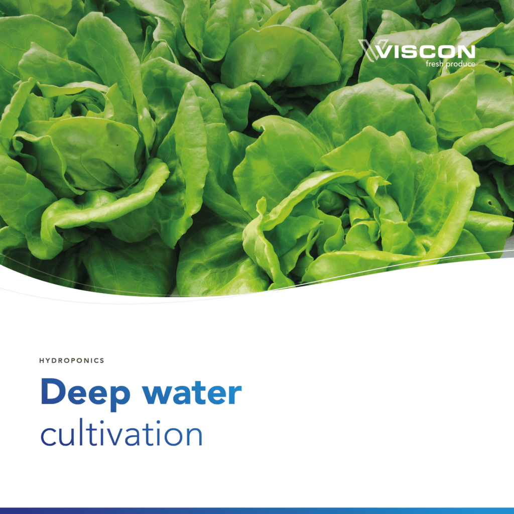 Deep Water Culture Systems (DWC) for Hydroponic Growing