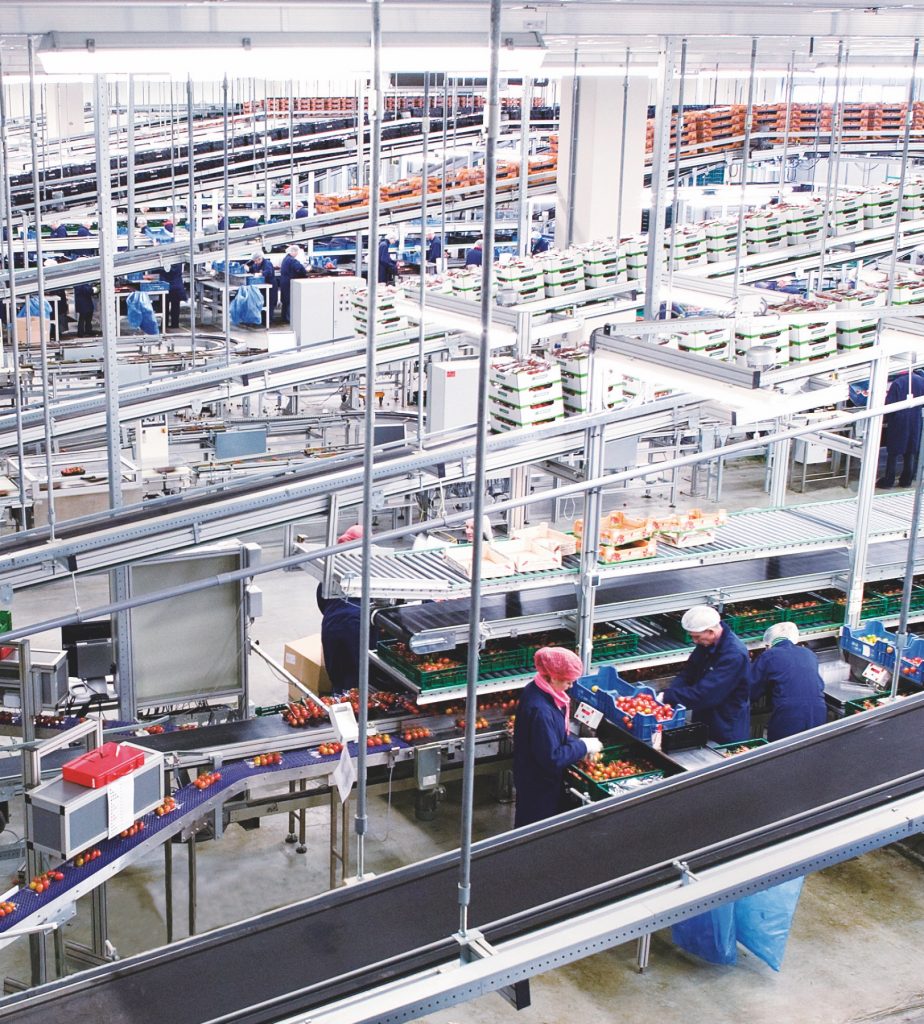 Post-harvest, packing & storage systems - Fruit & Vegetables - Viscon Group