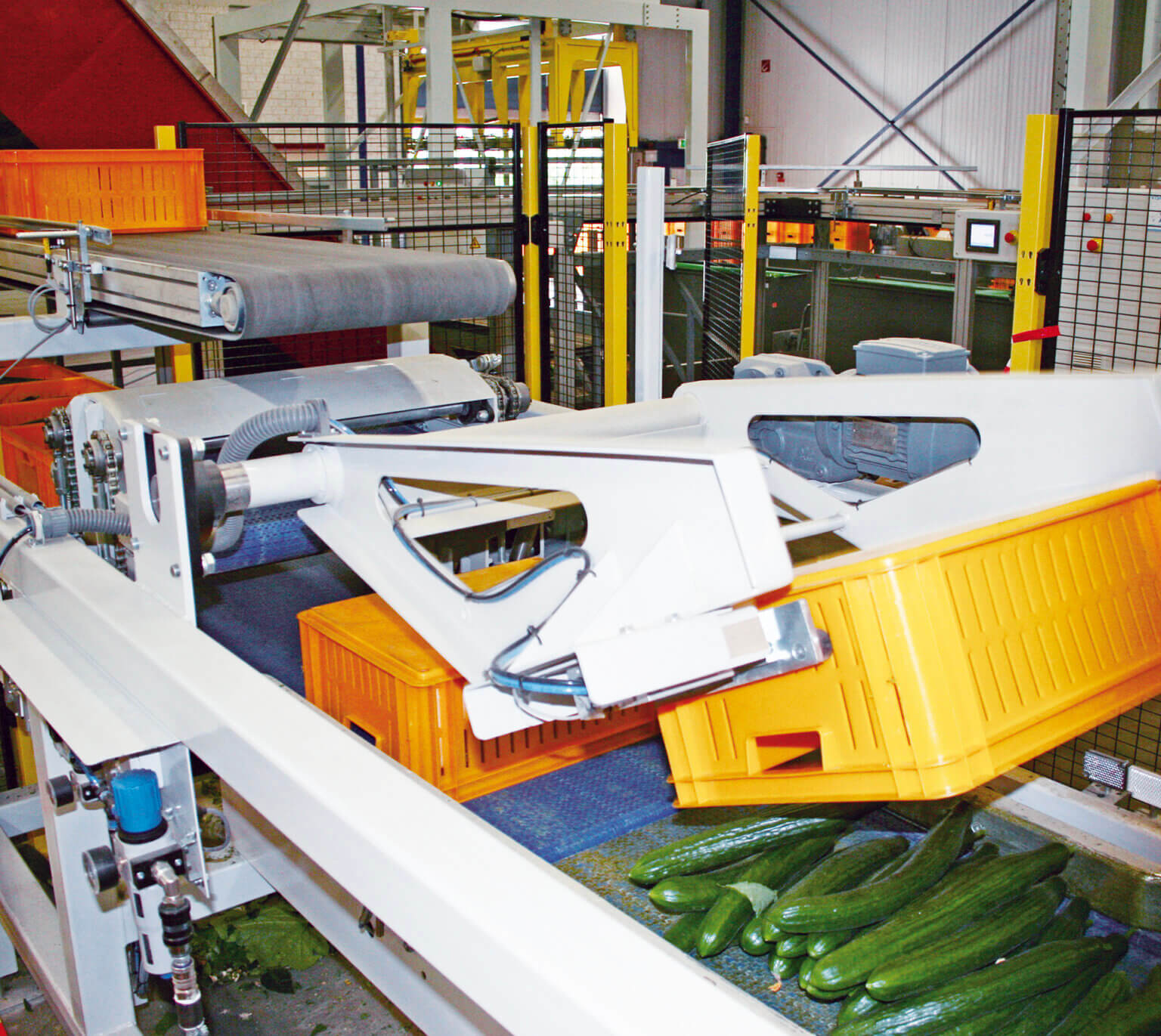 Post-harvest, packing & storage systems - Fruit & Vegetables - Viscon Group