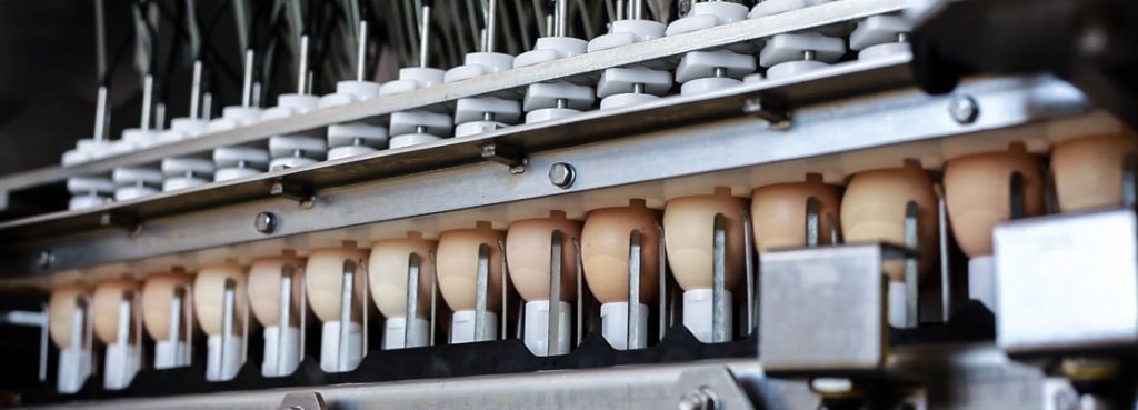 In ovo vaccination technology - Viscon Group