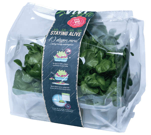 Cultivation of lettuce in end-packaging - Viscon Group