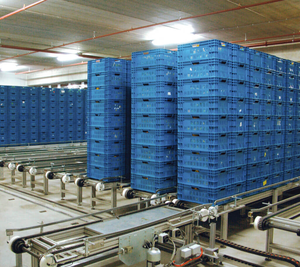 Post-harvest, packing & storage systems - Fruit & Vegetables - Viscon Group
