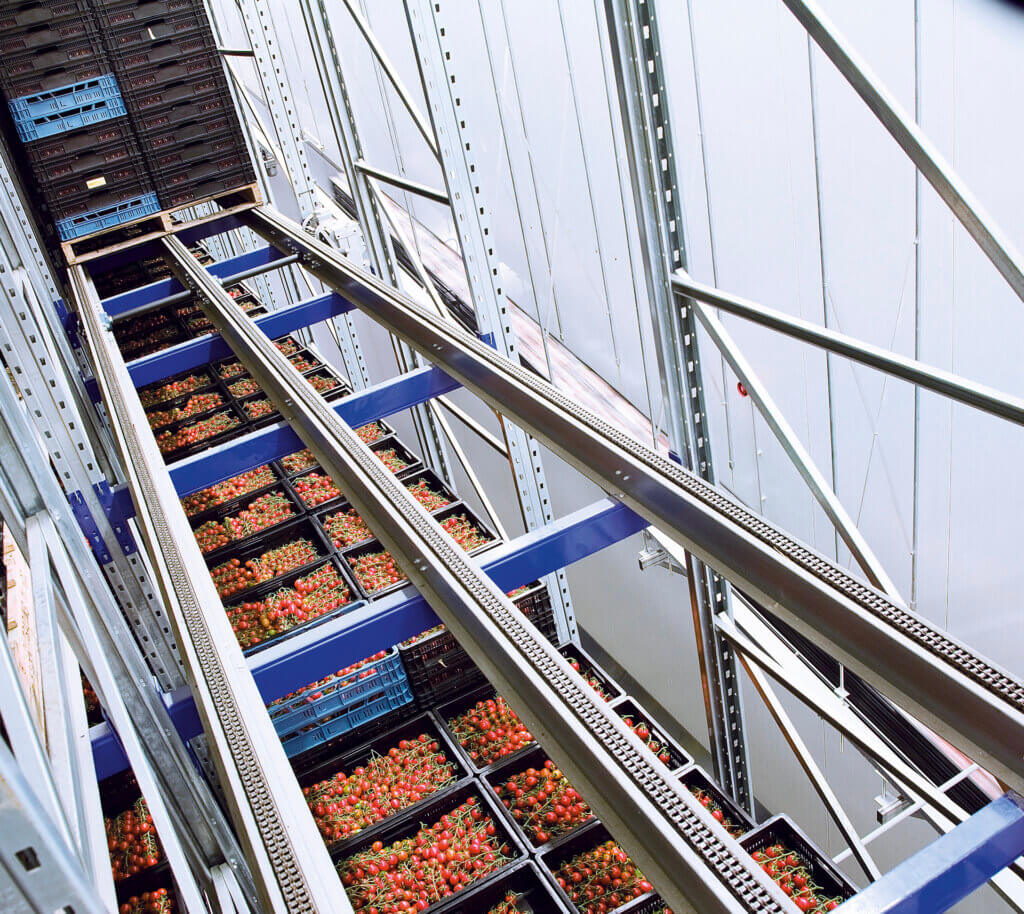 Post-harvest, packing & storage systems - Fruit & Vegetables - Viscon Group