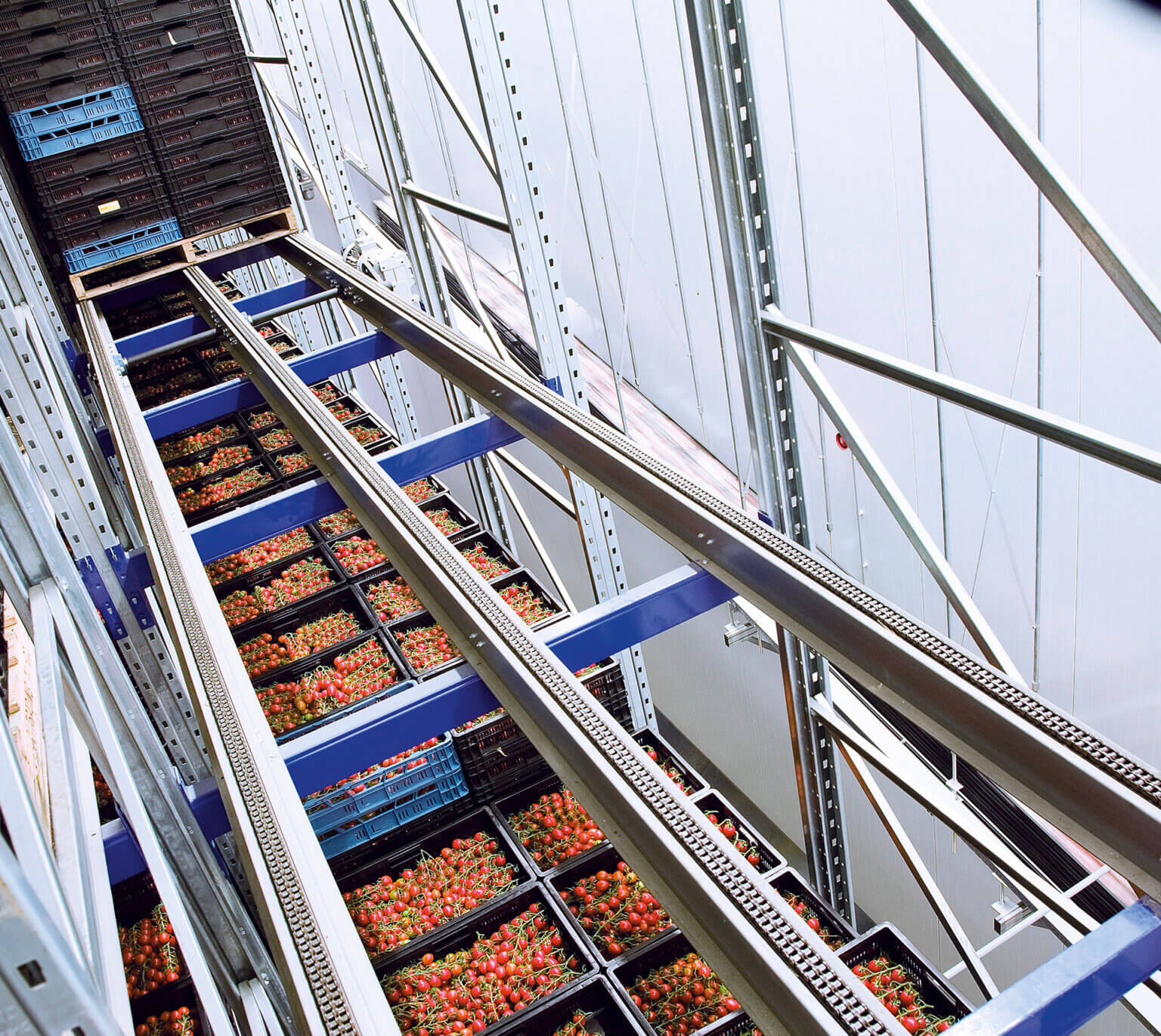 Post-harvest, packing & storage systems - Fruit & Vegetables - Viscon Group