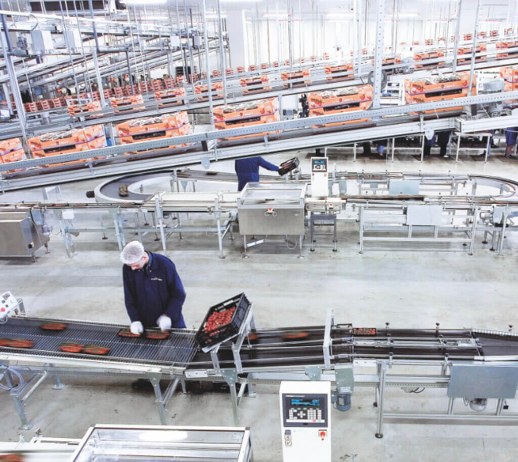 Post-harvest, packing & storage systems - Fruit & Vegetables - Viscon Group