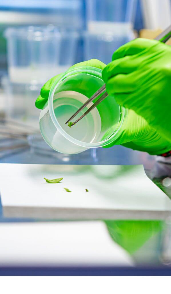 Lab Automation - Viscon Group Lab Automation Solutions