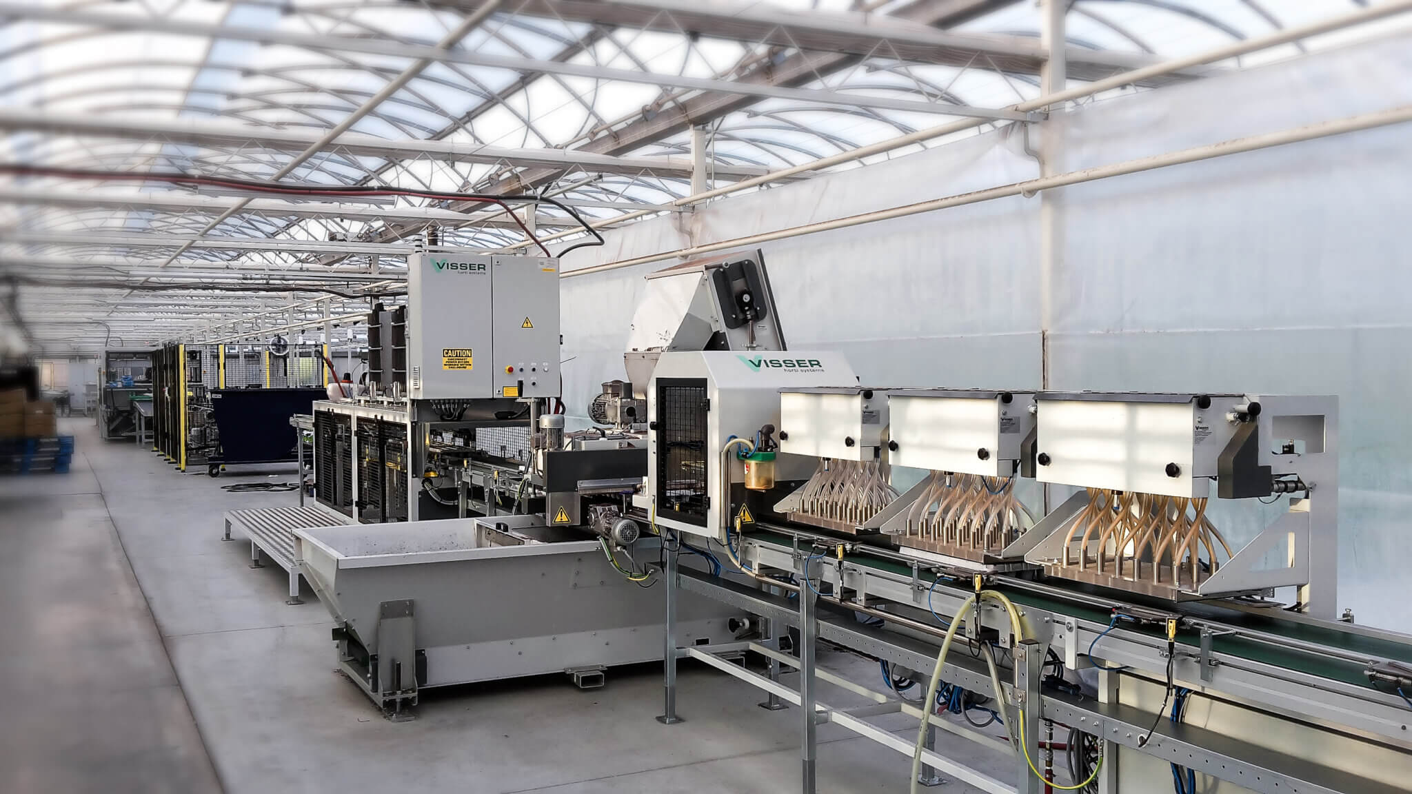 Deep Water Culture Systems (DWC) for Hydroponic Growing