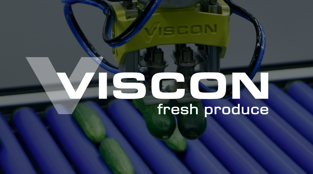 Our divisions - Viscon Group