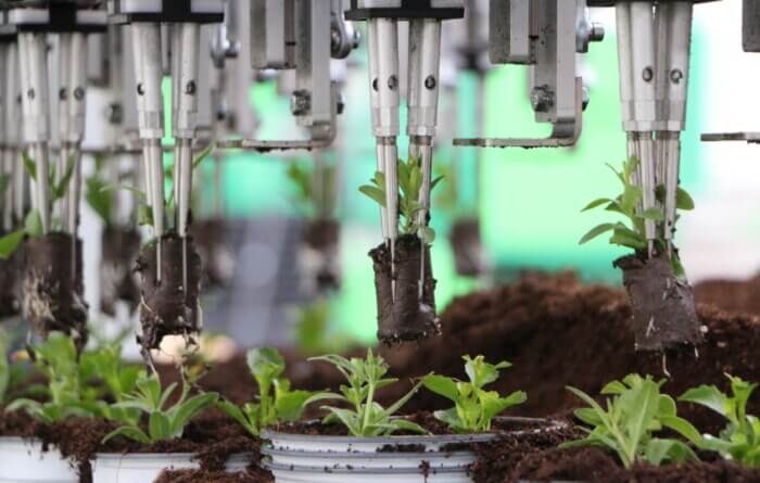 Visser Multi Planter - The most versatile transplanter yet - Viscon Group