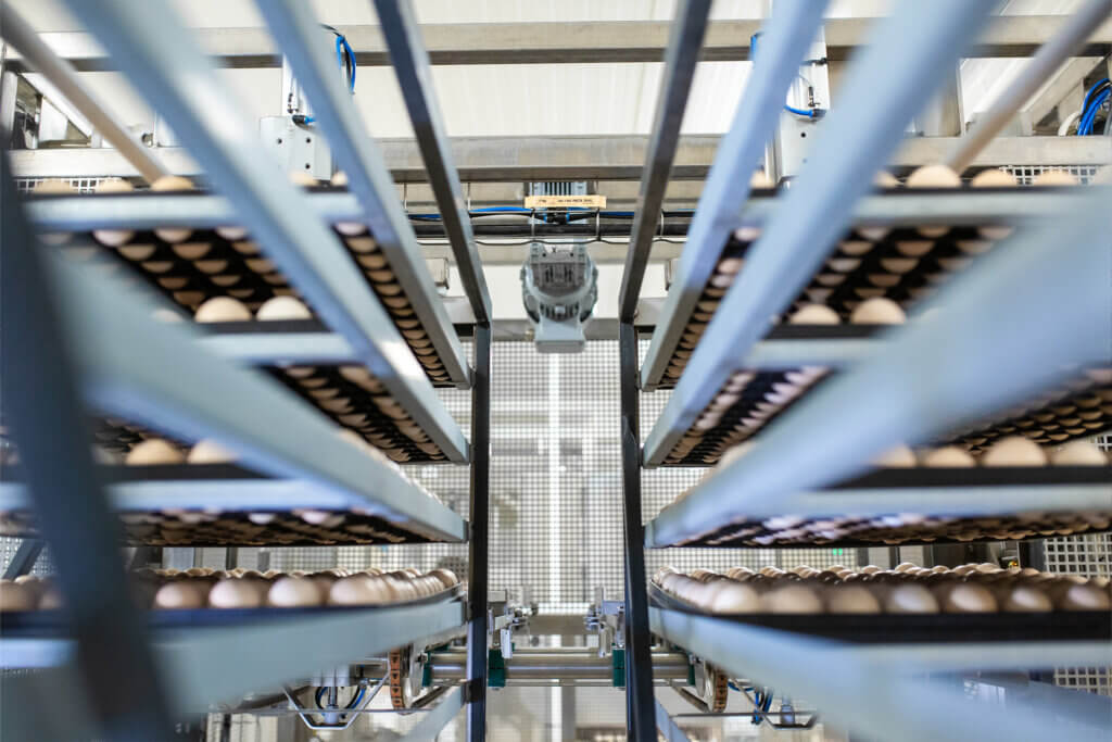 Viscon Hatchery Automation