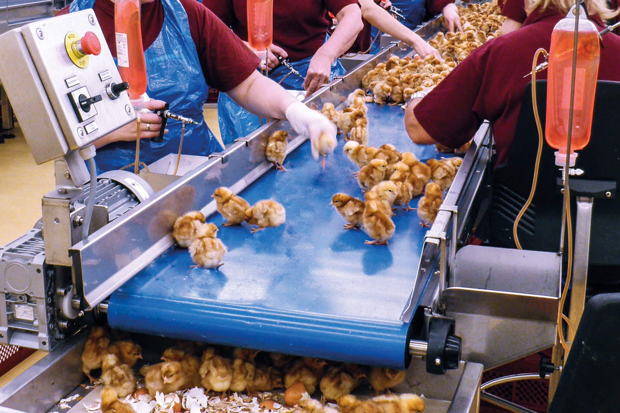Viscon Group – Hatchery Automation