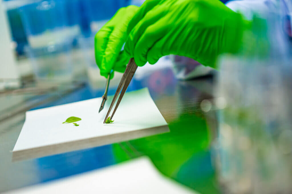 Introducing Viscon Plant Technology! - Viscon Group