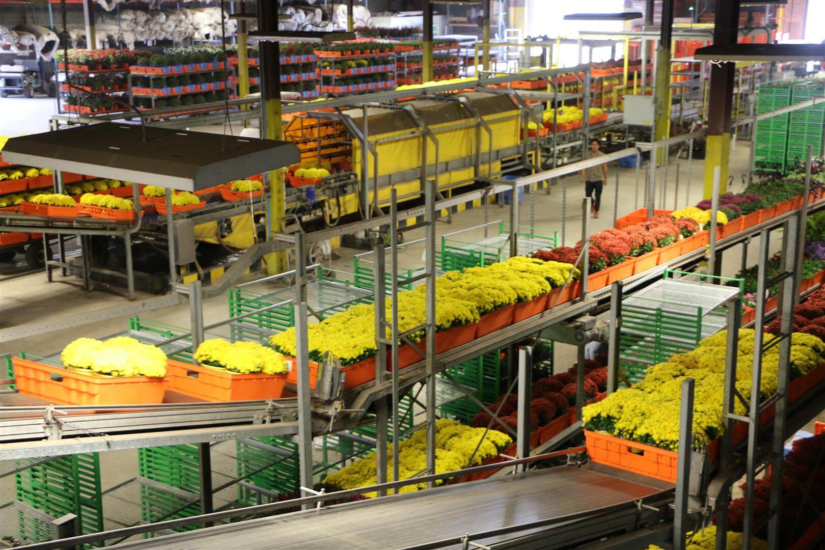 Tray delivery system - Viscon Group