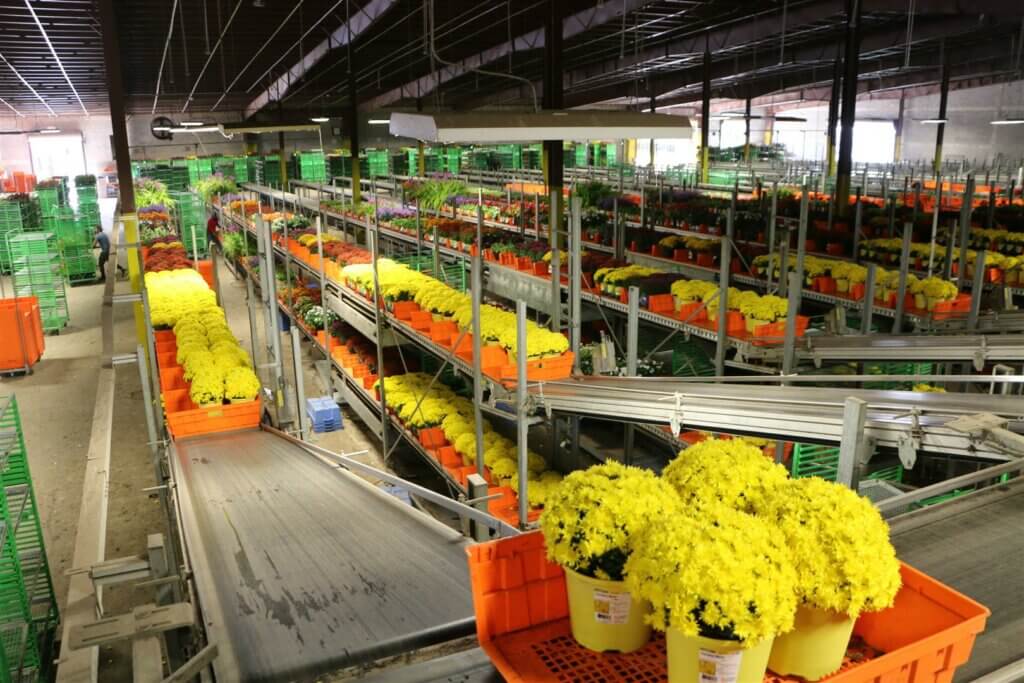 Tray delivery system - Viscon Group