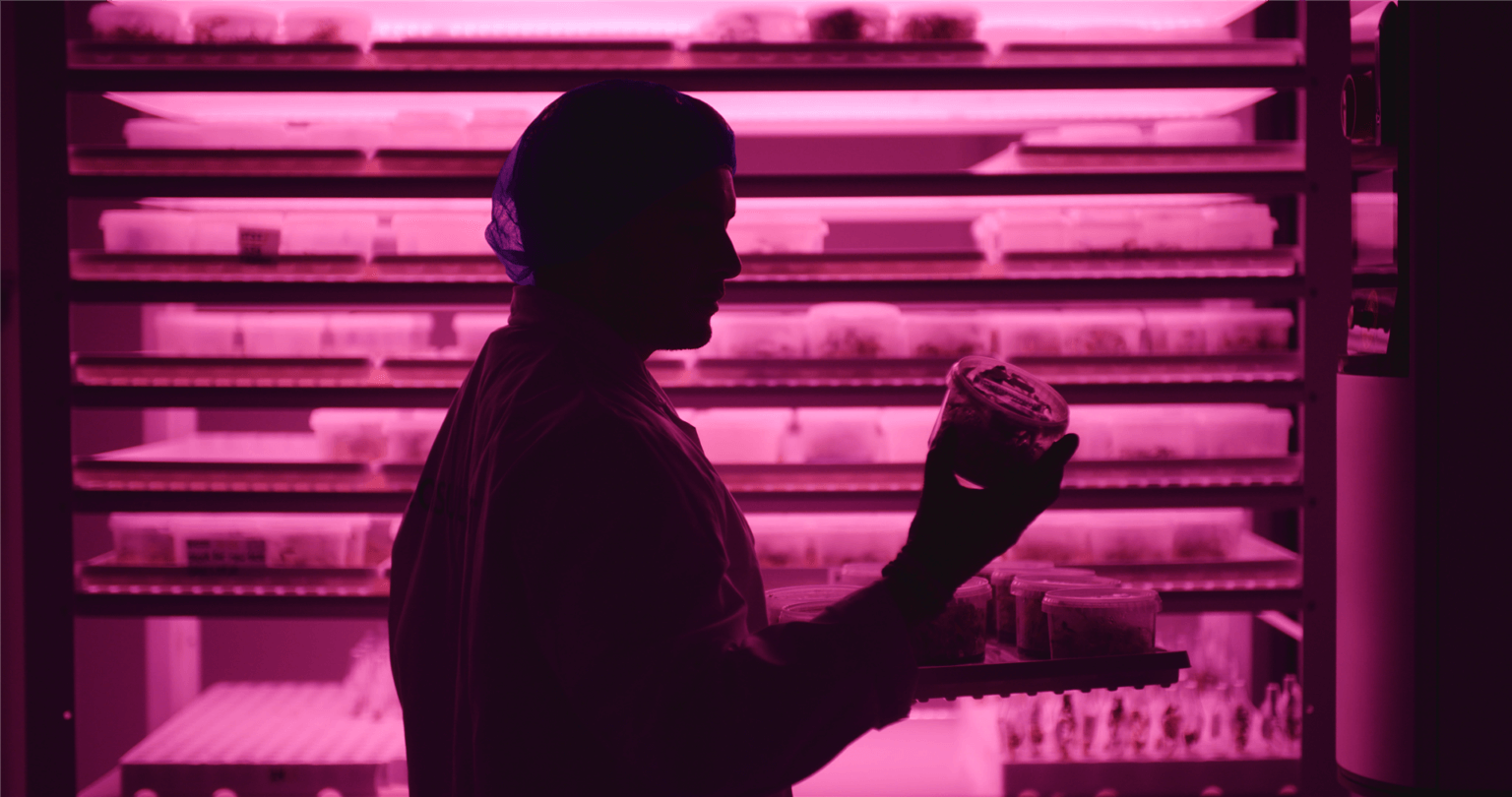 Introducing Viscon Plant Technology! - Viscon Group