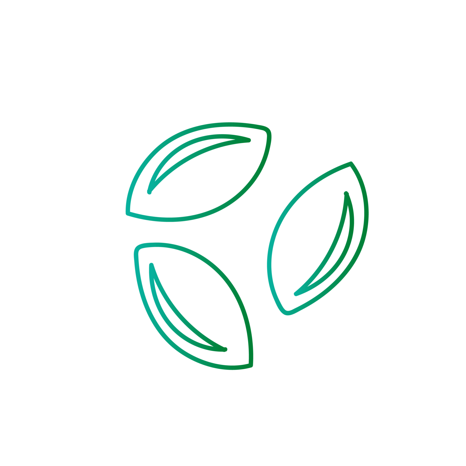 Robomatic Seeder - Viscon Group