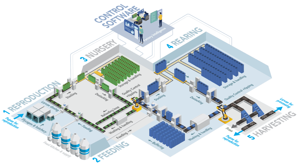 Insect Farming Technology (Black Soldier Fly, Mealworm)