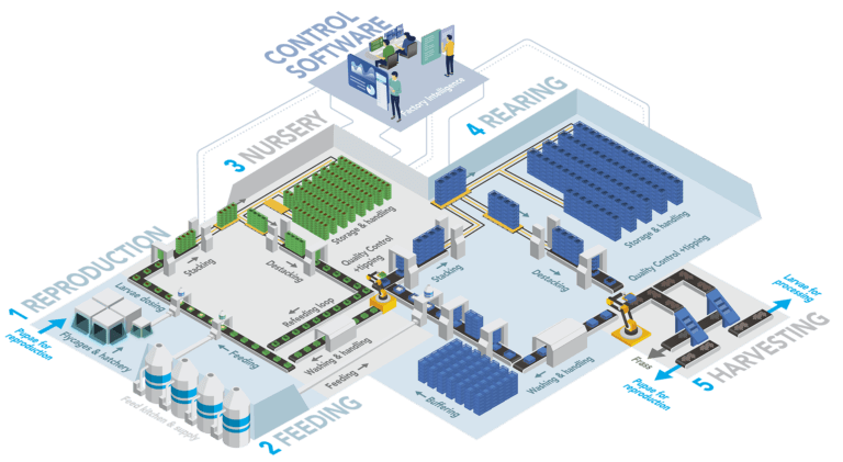 Insect Farming Technology (Black Soldier Fly, Mealworm)