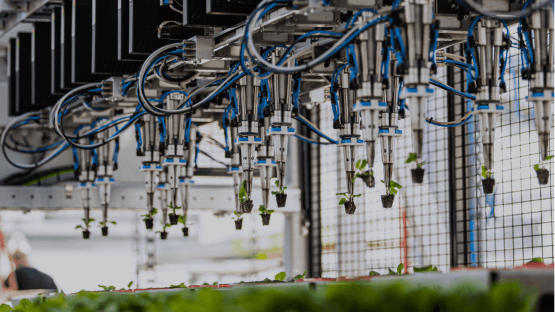 Introducing Viscon Plant Technology! - Viscon Group