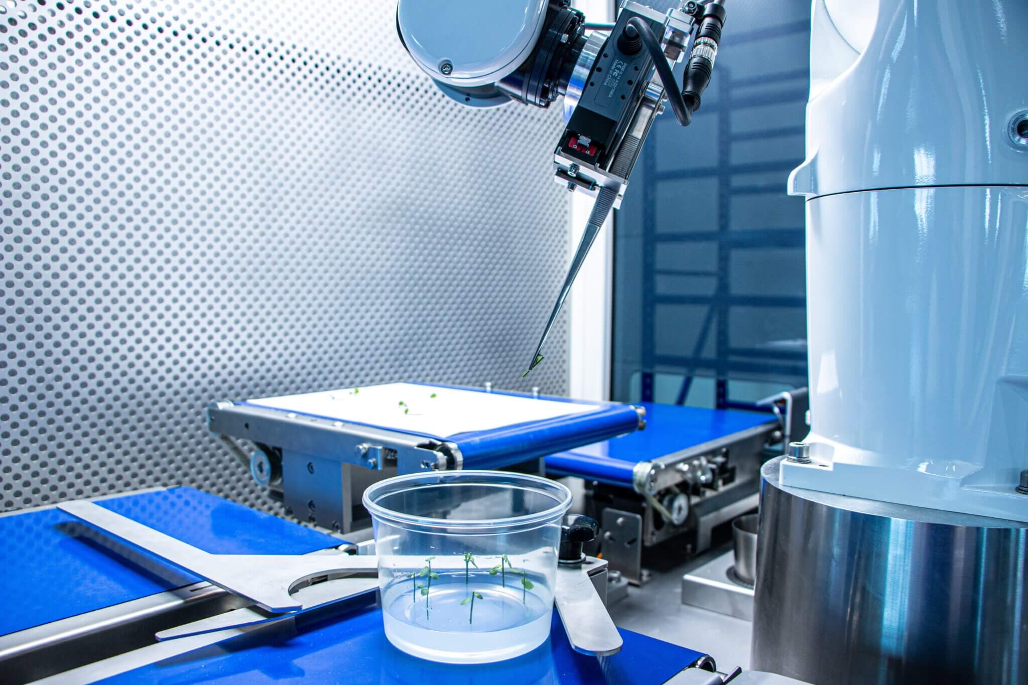 Sneak Peek into Nourse Farms' upcoming Tissue Culture Lab - Viscon Group