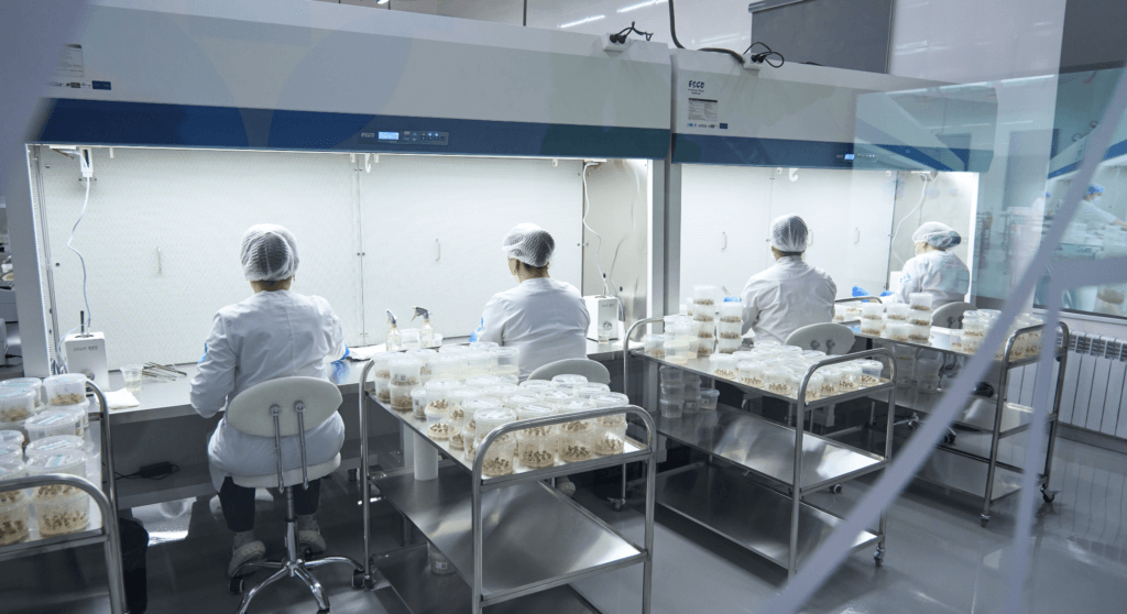 Successful completion of turnkey TC lab in Uzbekistan - Viscon Group